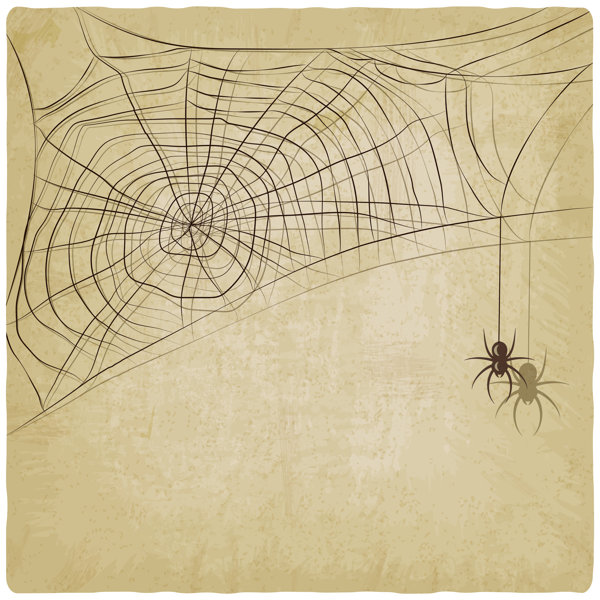 17 Stories Altenwald Spider Web On Canvas by Natbasil Print | Wayfair